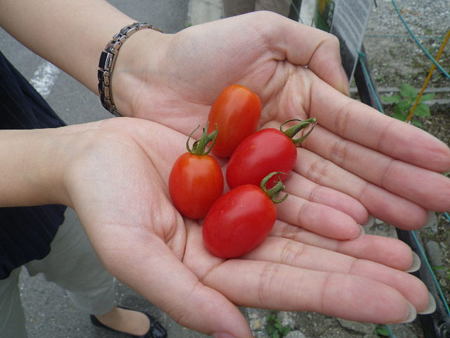 社員紹介: 企画広報室ブログ